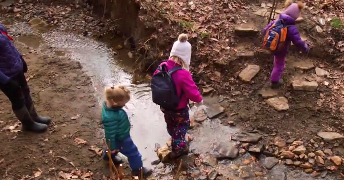 'Forest kindergarten' kids learn outside in nature