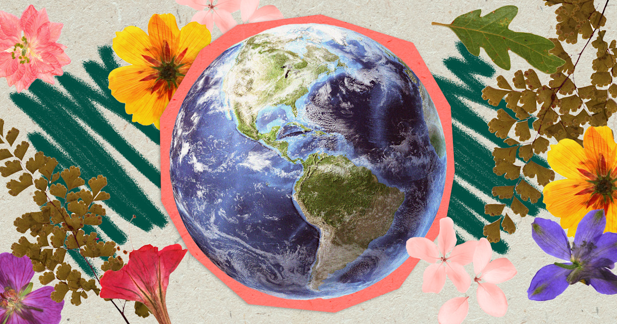 What can you do to help save the planet? Take our quiz to find your One ...