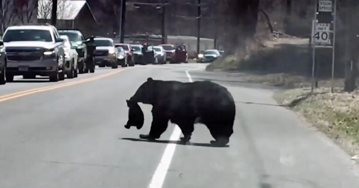 bear cross roadworks
