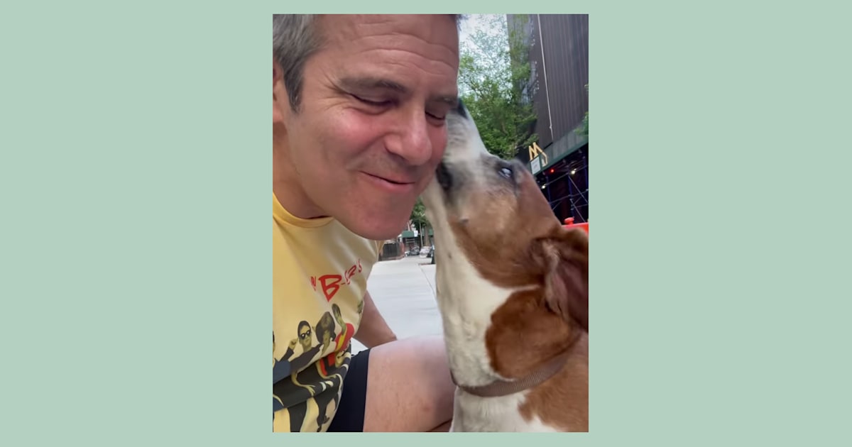 Andy Cohen reunites with dog Wacha in sweet video