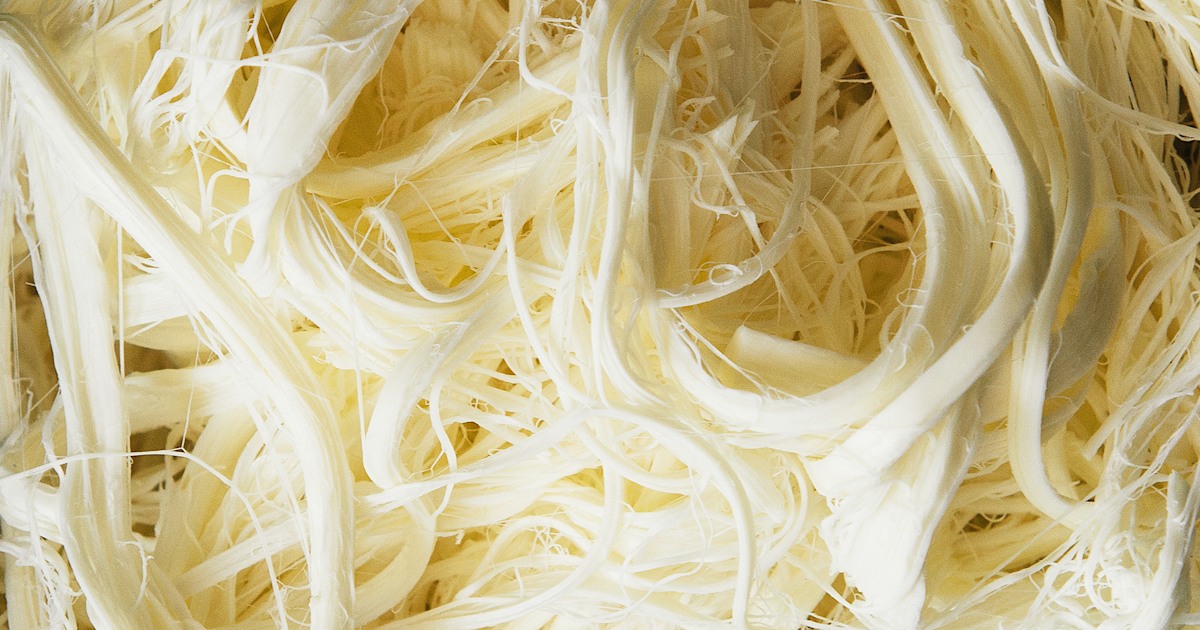 Wisconsin dairy breaks own record for longest string cheese