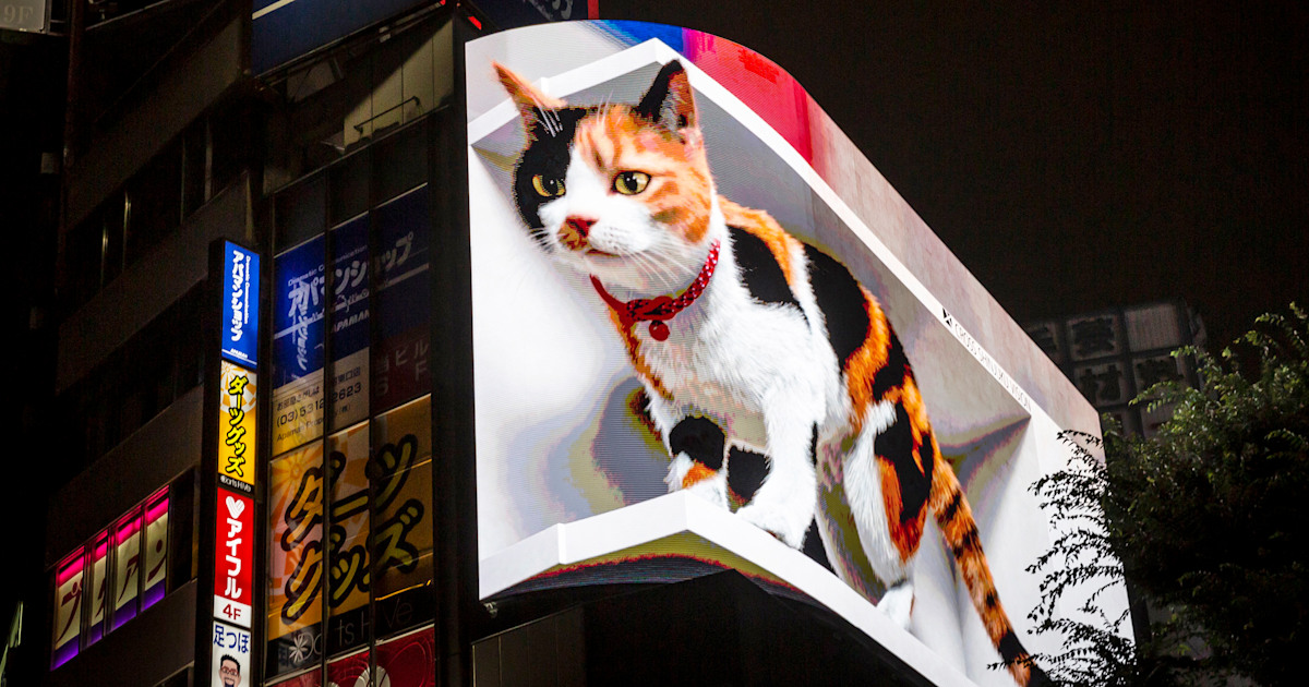 A giant 3D cat has emerged on a billboard in Tokyo