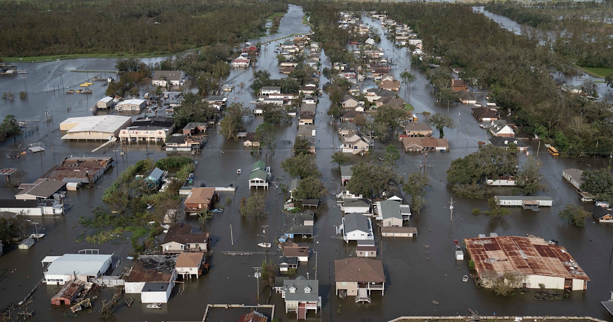 Louisiana man, 71, attacked by alligator in Ida floodwaters