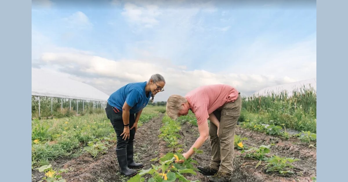 Addressing America’s urgent need to recognize and support its farmers