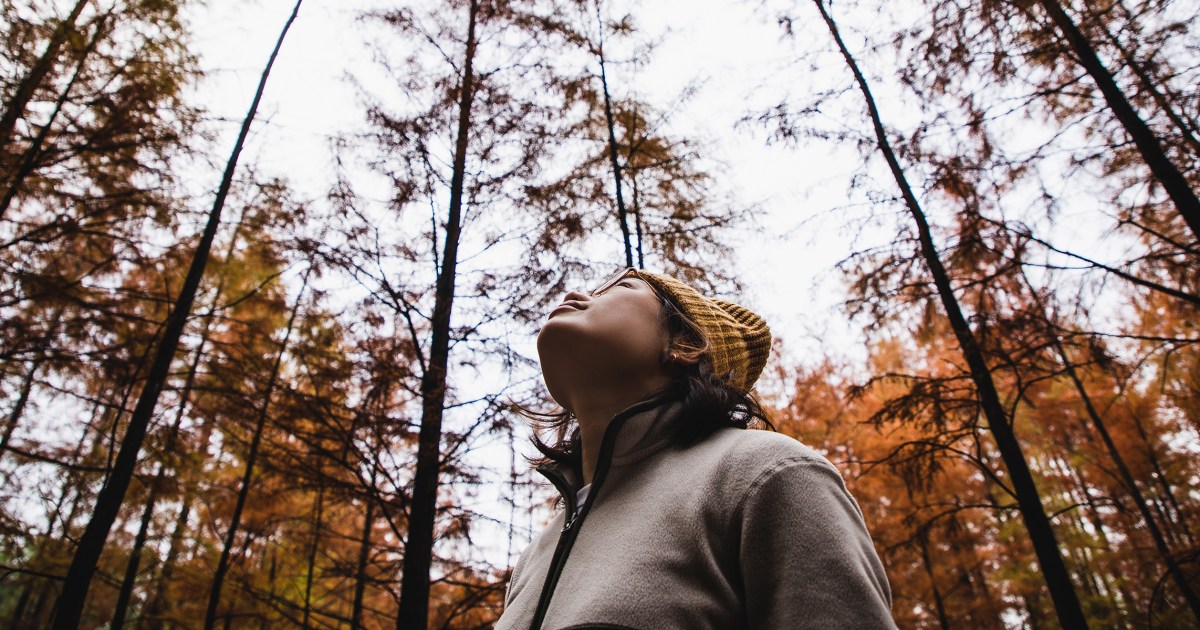 Flaneuring: A Walking Trend To Reduce Stress and Boost Mood