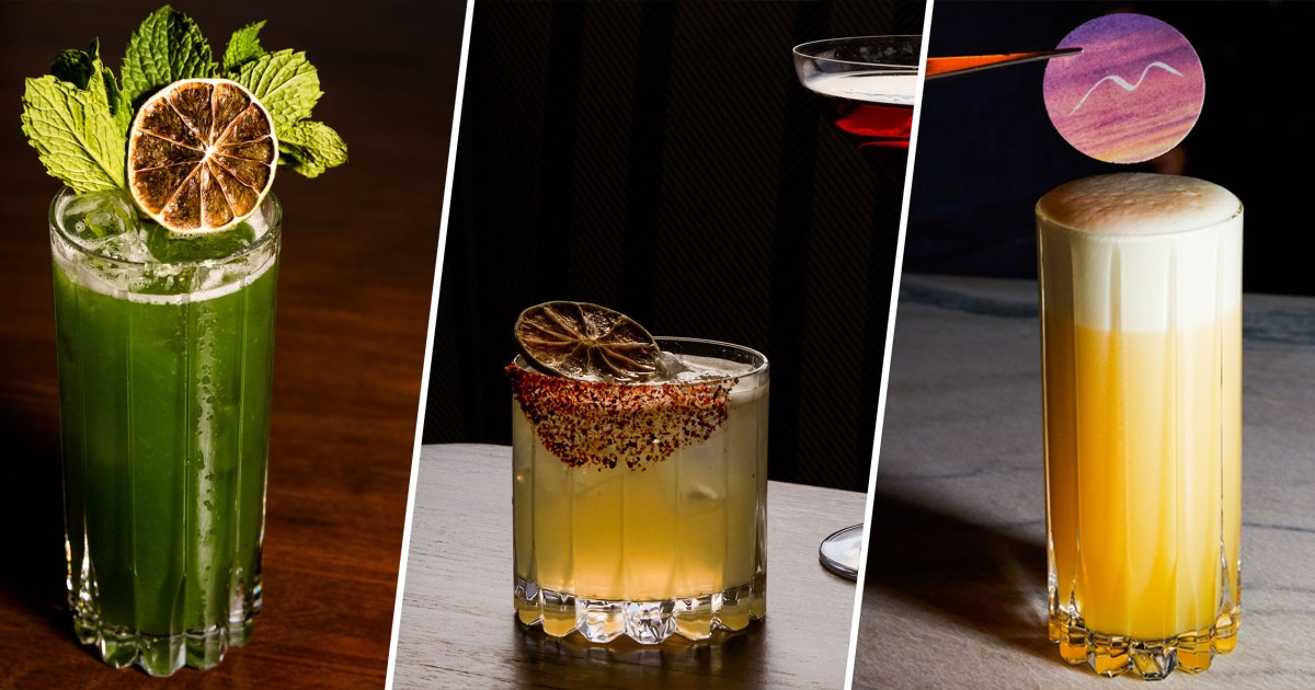 Memorial Day Cocktails: Cucumber Gin Rickey, Lemon Poppy Sour and Spicy ...