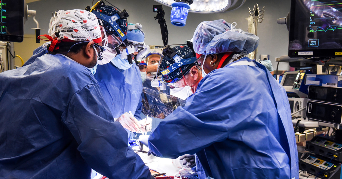 Surgeons Perform 1st Successful Transplant of Pig Heart to Human Patient