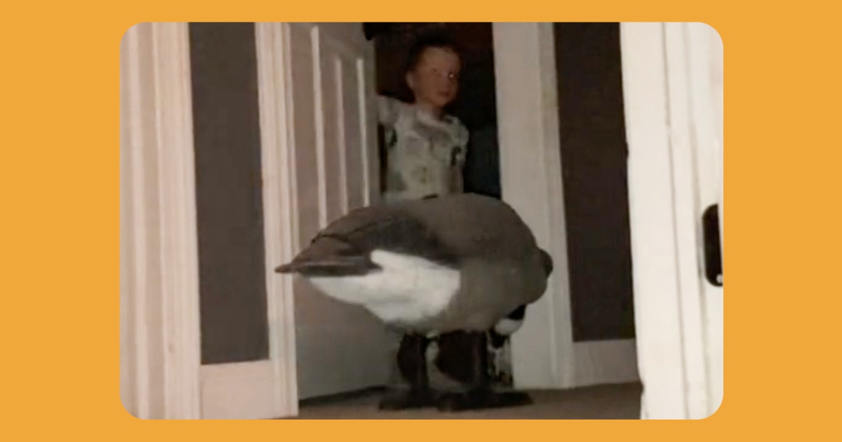 Mom Shares Hilarious Trick With Plastic Goose to Keep Kids in Bed