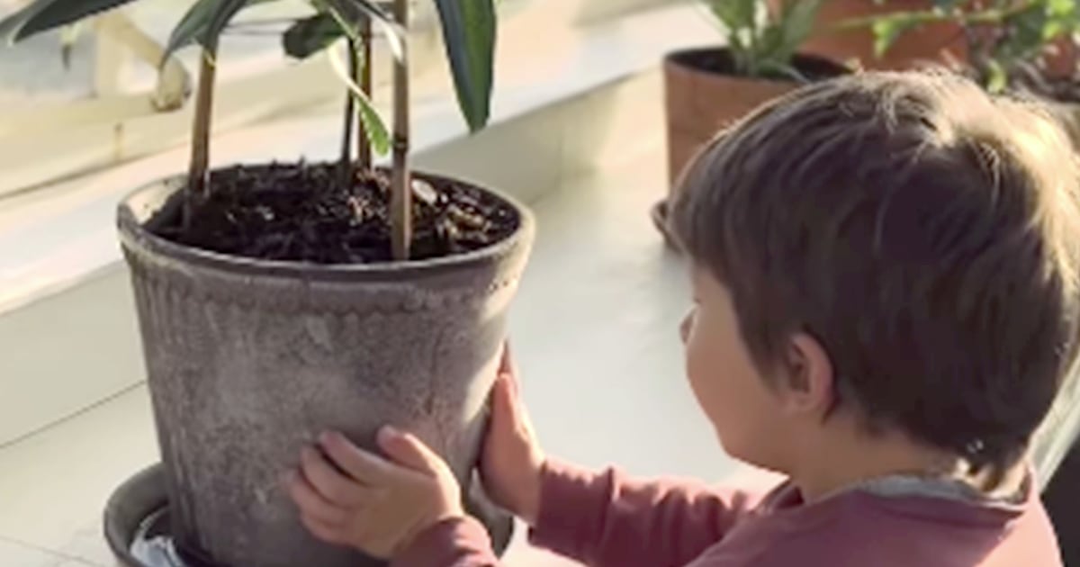 Joanna Gaines shares adorable video of son Crew