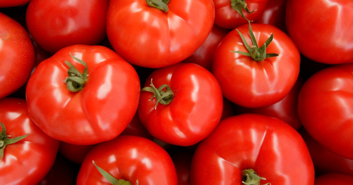 Vitamin D In Gene-Edited Tomatoes Could Help Solve Deficiency