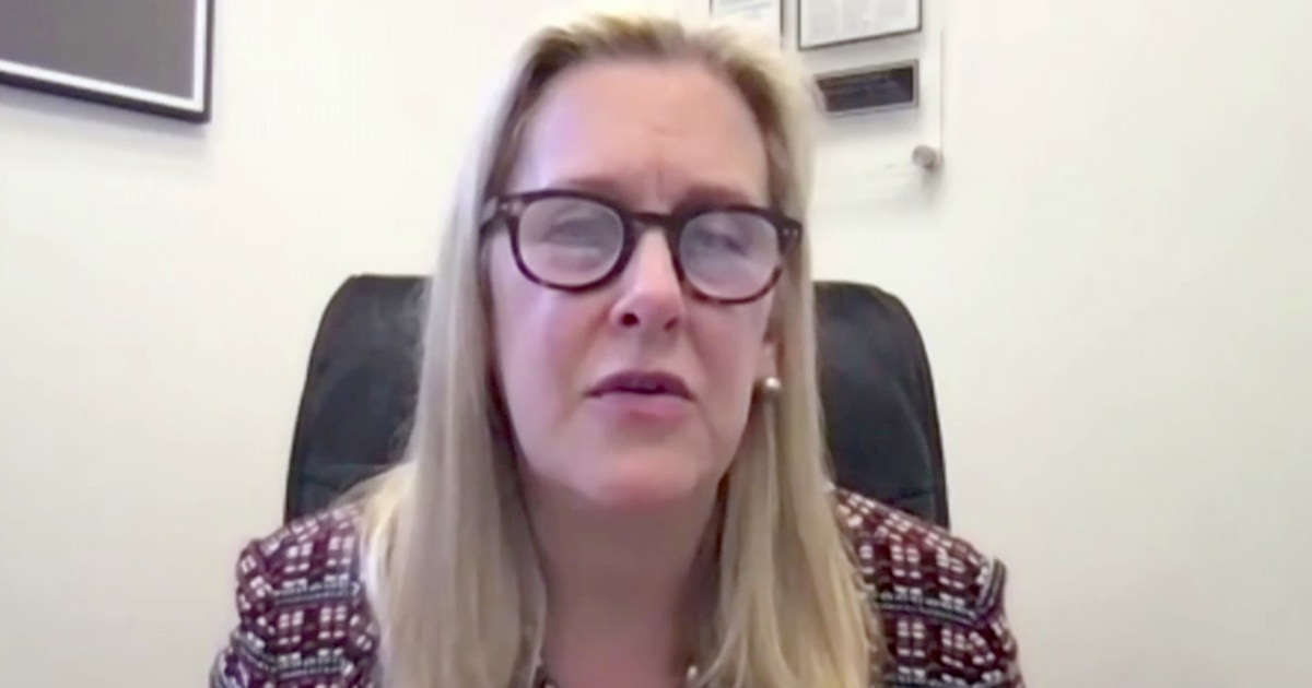 Highland Park Mayor Nancy Rotering Says She Was Cub Scout Leader for ...