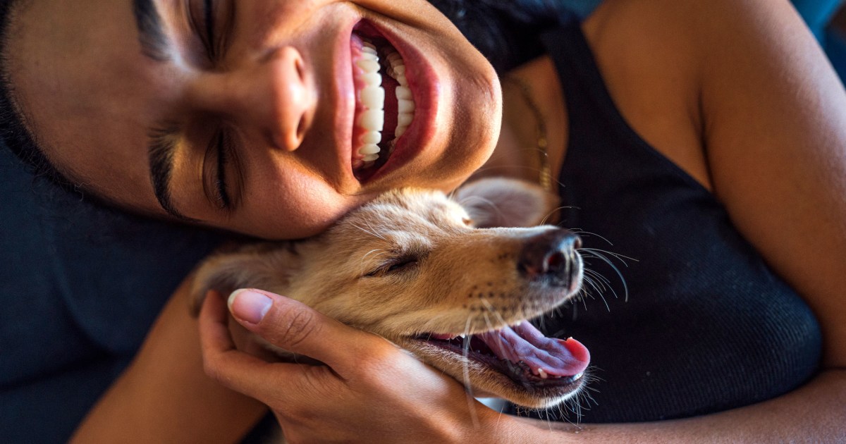 Your Dog May Tear Up When You’re Reunited, New Study Finds