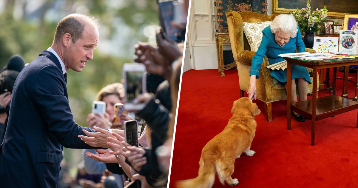 Queen Elizabeth corgis: Prince William gives update on the queen's ...