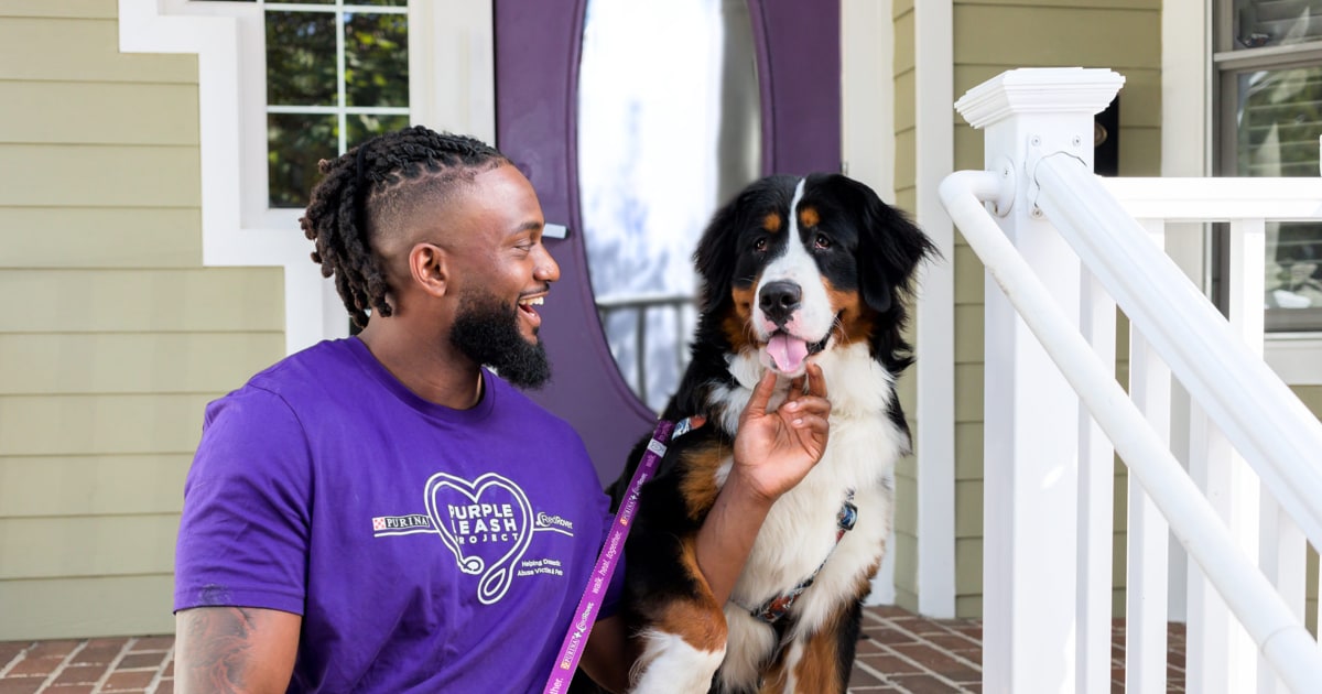 James Smith-Williams Helps Domestic Violence Survivors With Pets