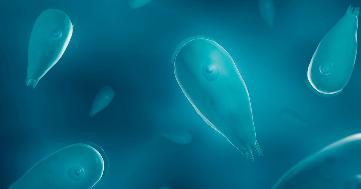 Nevada Boy Dies From Brain-Eating Amoeba in Lake Mead: What to Know ...