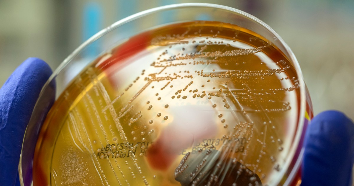 US Hospitals Report Rise in Severe Strep A Infections Among Kids, After ...