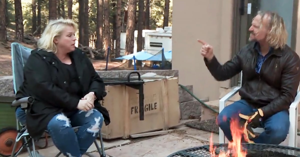 'Sister Wives': Janelle Says She Doesn't Need To Be 'Beaten Into ...