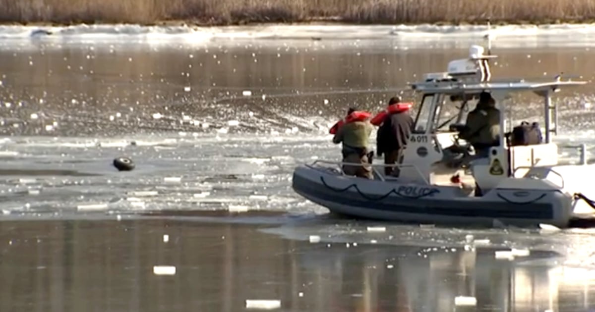 Former US Navy Captain, Son Rescued Pilot from Icy Creek After Crash