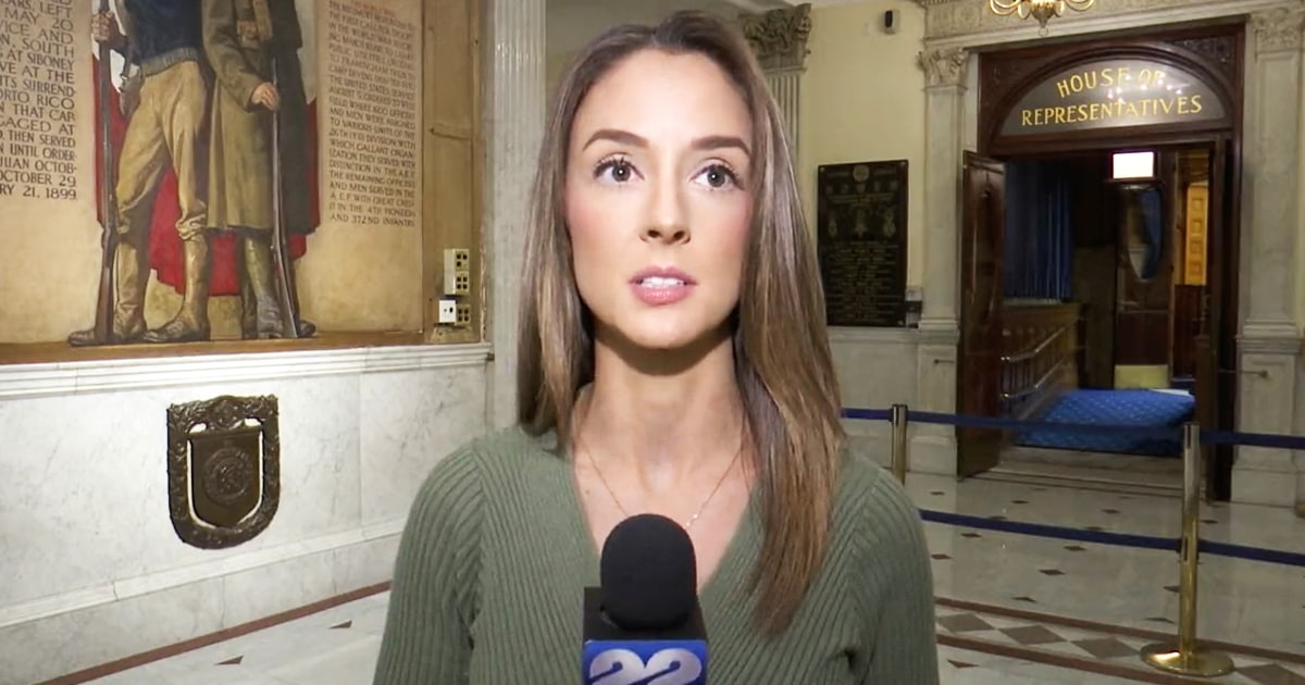 Reporter Ellen Fleming's Boston Accent Slipped During TV Clip