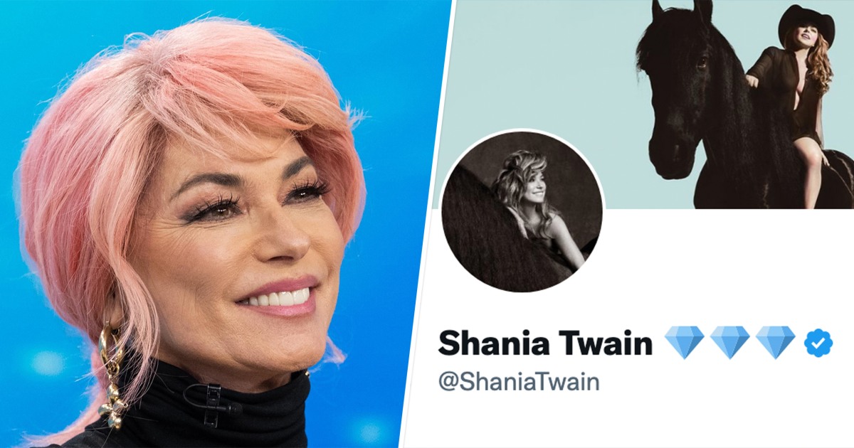 Why Shania Twain Puts 3 Diamond Emoji on Her Twitter Profile Why Shania Twain Puts 3 Diamond Emoji on Her Twitter Profile