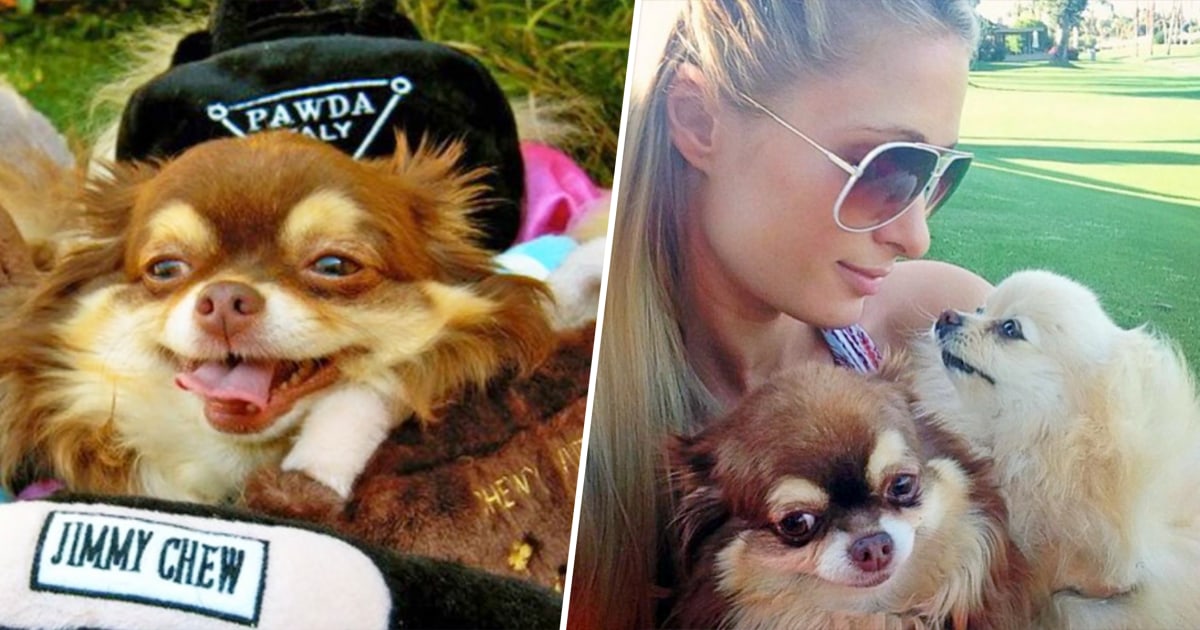 Paris Hilton shares new tribute, pics after death of 23-year-old ...