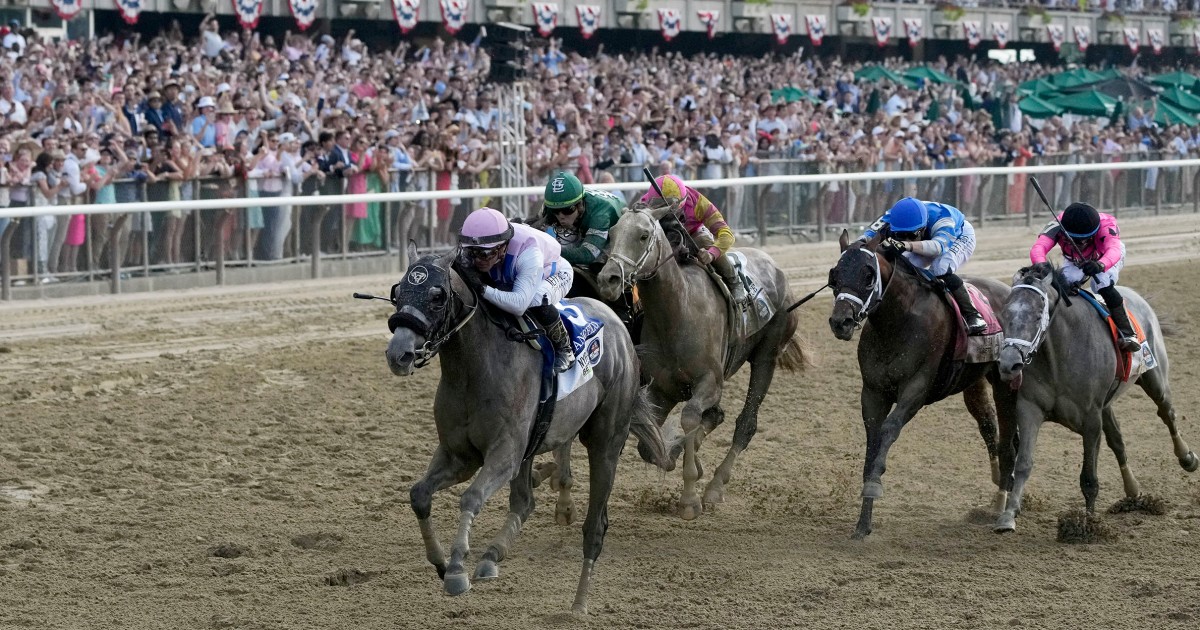 2 Race Horses Die within 24 Hours of Each Other at Belmont Stakes