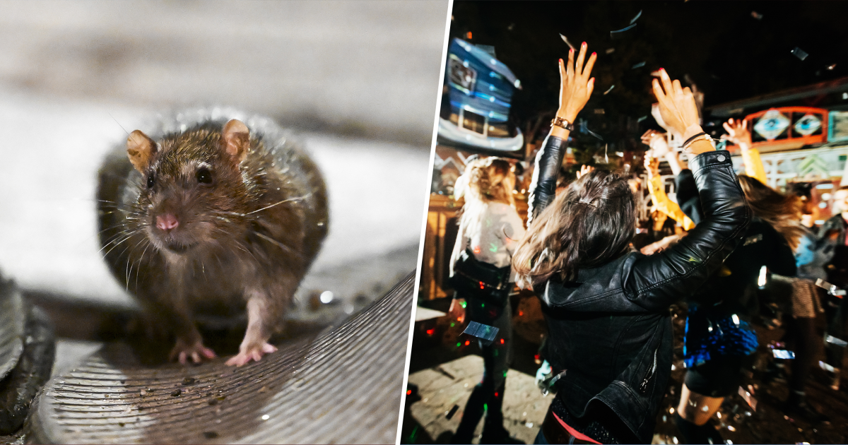 What Is 'Rat Girl Summer'?