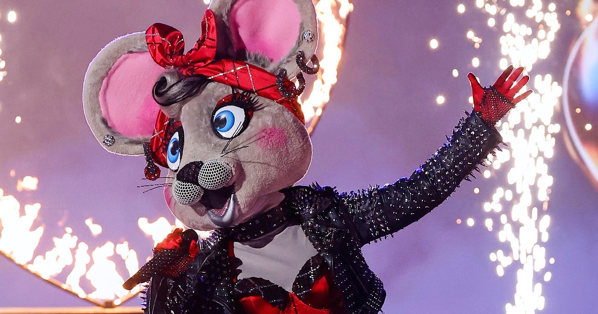 'Masked Singer' Season 10: Disney Channel Star Anonymouse Unveiled