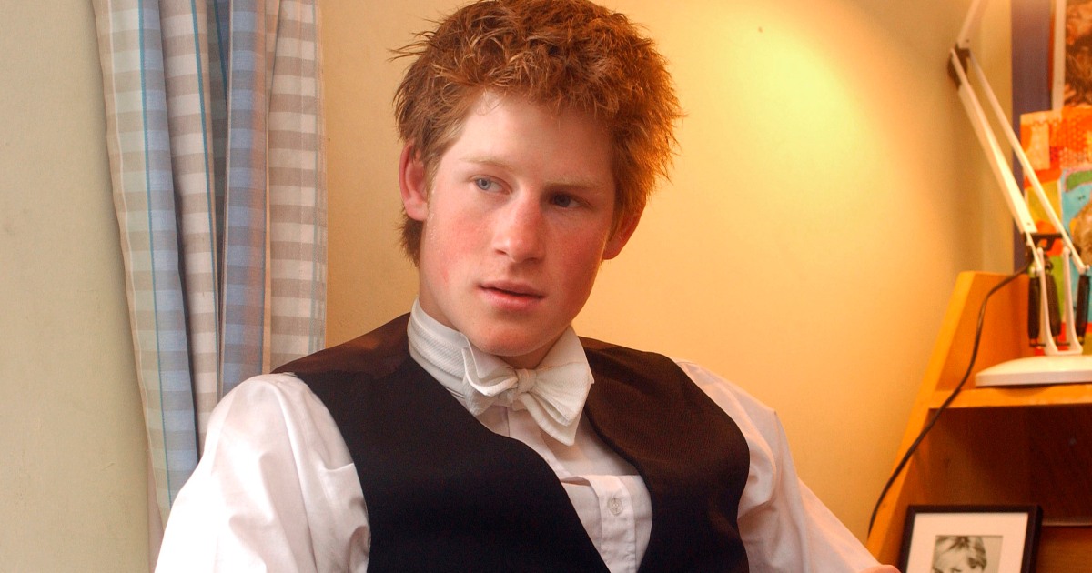 Prince Harry's Nazi Costume Scandal: What He's Said About 2005 Event