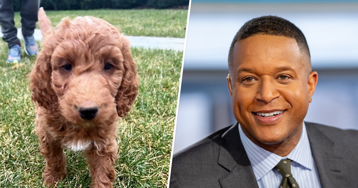 Craig Melvin's Family Welcomes a Puppy Named Myles. See the Cute Pics
