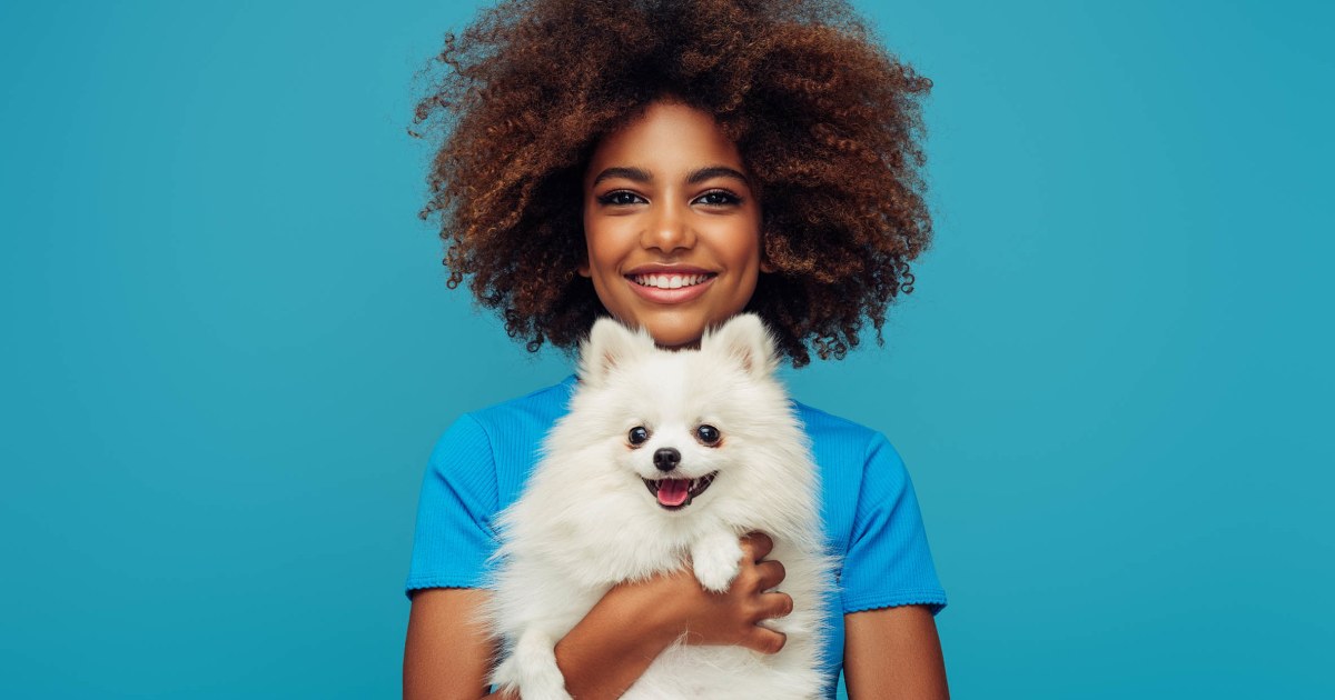 50 Best Dog Puns That Are Paw-sitively Amazing