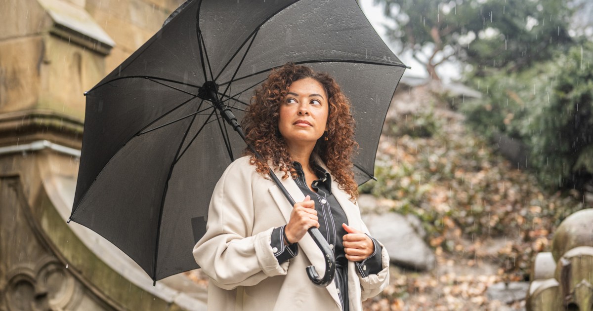 Amazon Repel Windproof Travel Umbrella review
