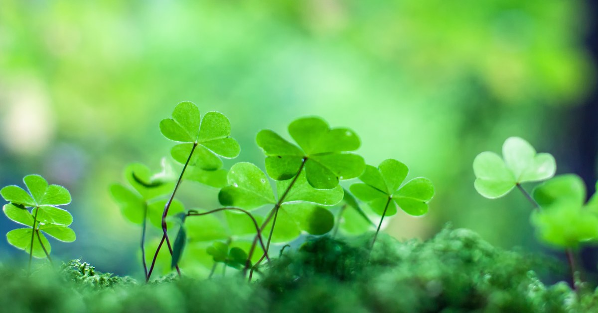 Irish Blessing Facebook Cover 100 St. Patrick's Day Quotes, Irish