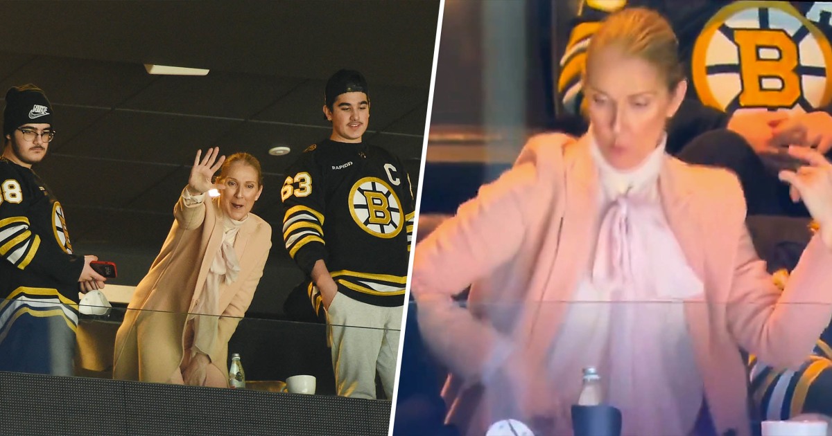 Celine Dion Attends Bruins Game With Her Sons, Delivers 'Legendary ...