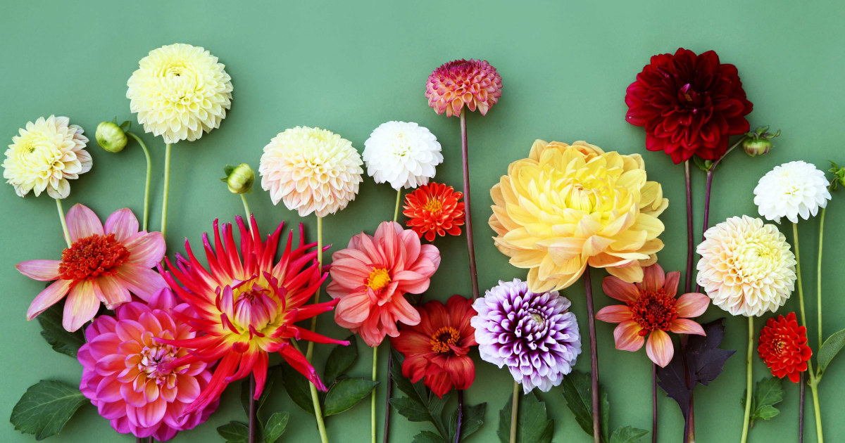 50 Flower Quotes to Celebrate Nature's Beauty