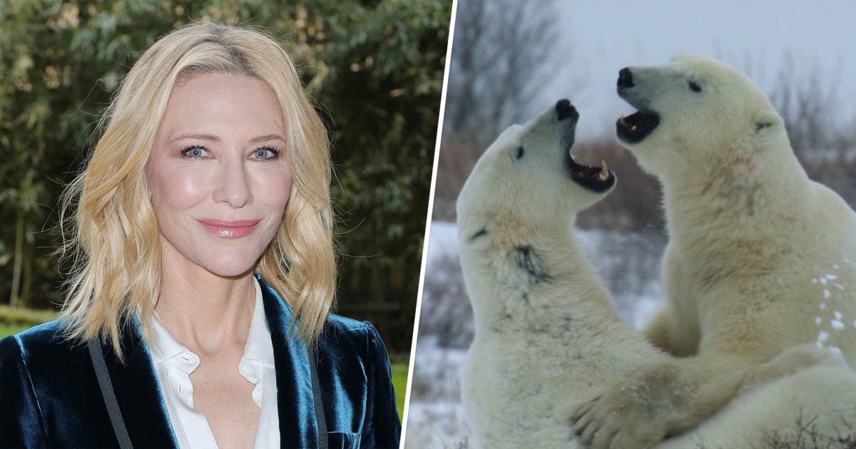 Our Living World, Netflix Nature Doc Narrated By Cate Blanchett: EXCLUSIVE