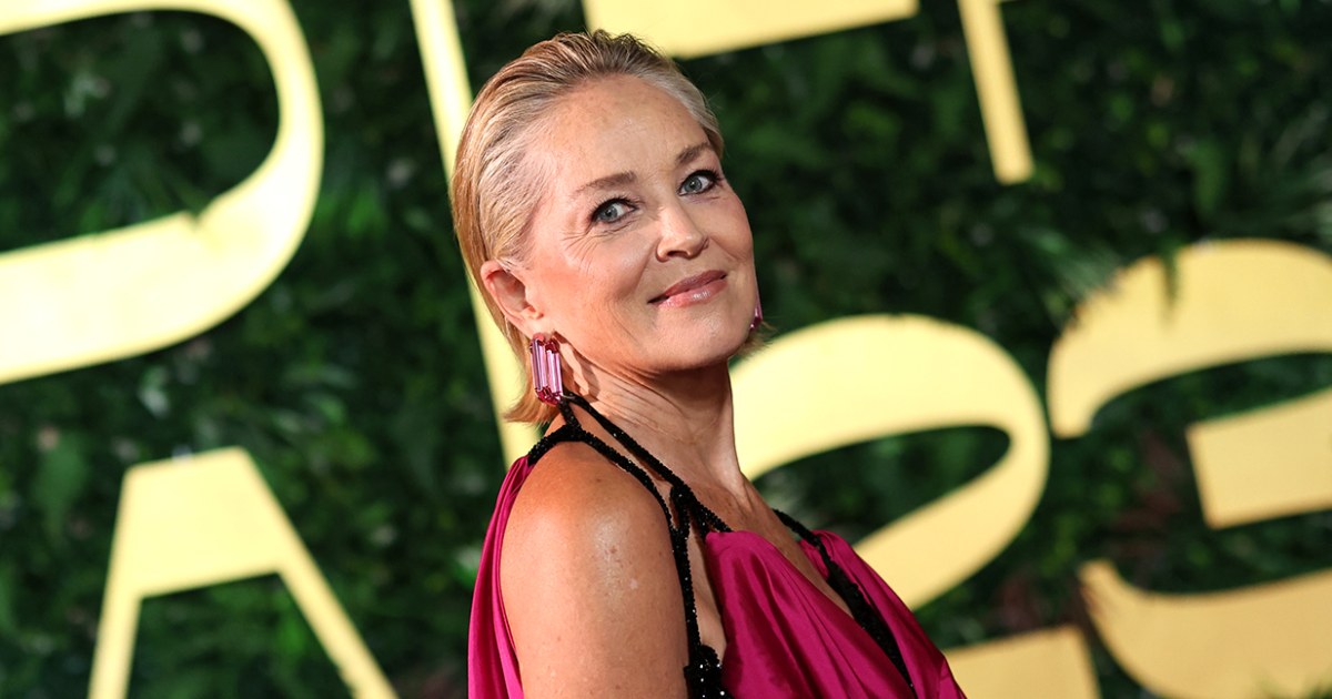 Sharon Stone Says Her ‘Barbie’ Movie Pitch Got Her 'Thrown Out Of The ...