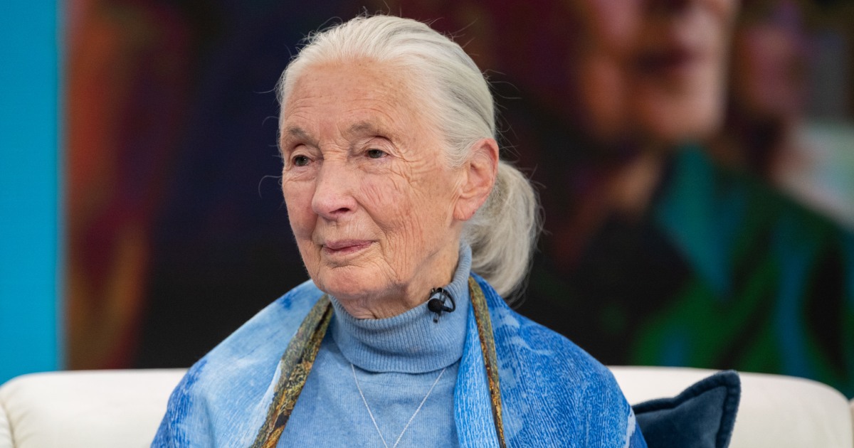 Jane Goodall Dies: What She Wanted Her Legacy to Be