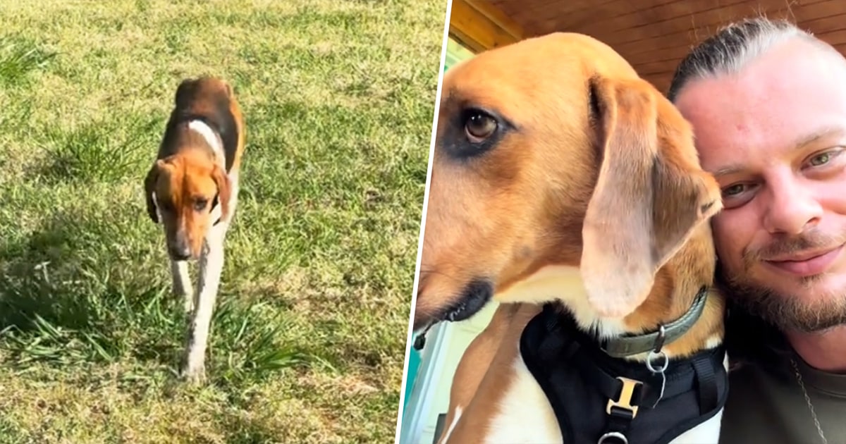 A Starving Dog Showed Up On Man's Farm. Then, They Went Viral