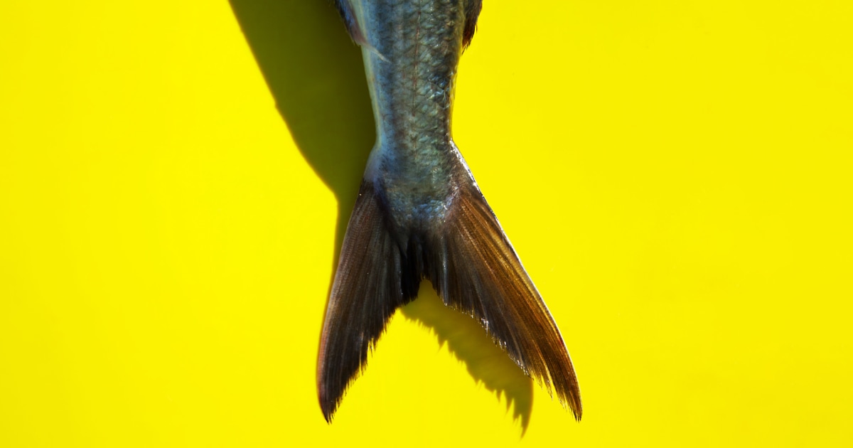 8 Best 'Brain Foods' To Fight Dementia and Boost Thinking & Mood