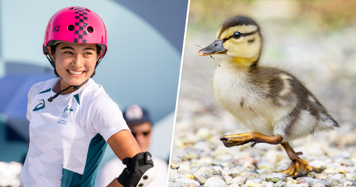 Olympic Skateboarder Arista Trew Asks Parents For A Duck