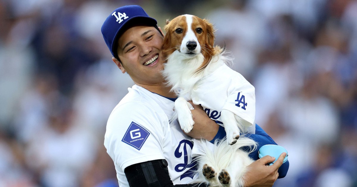 Shohei Ohtani’s Dog Throws Out First Pitch At Dodgers Game