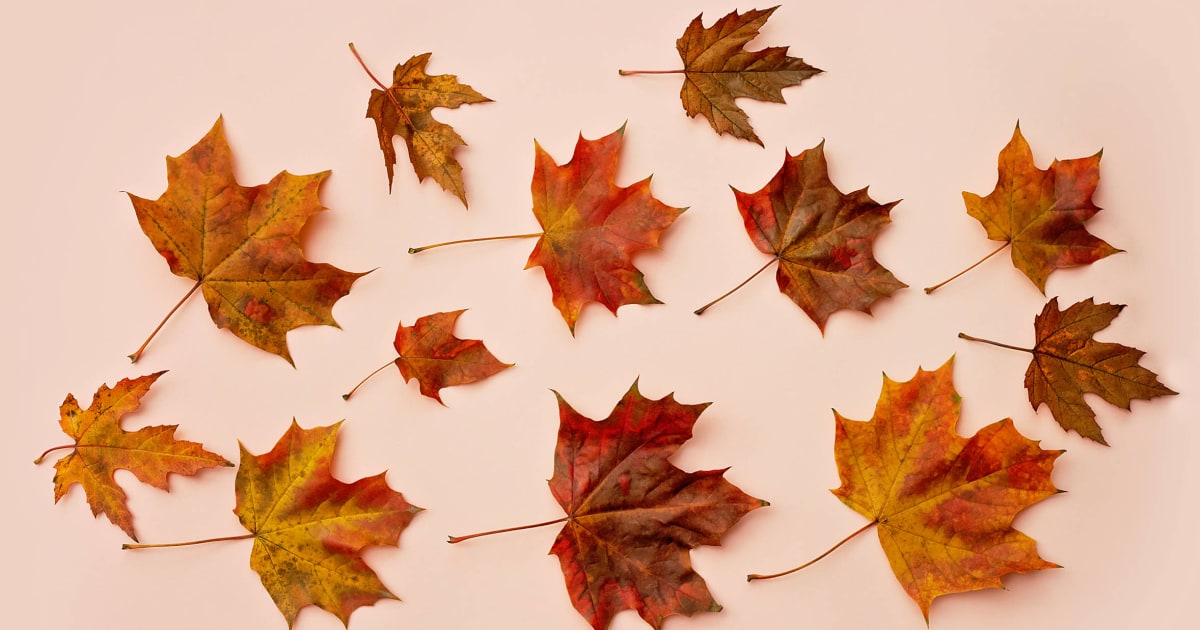 35 Fall Songs to Add to Your Autumn Playlist