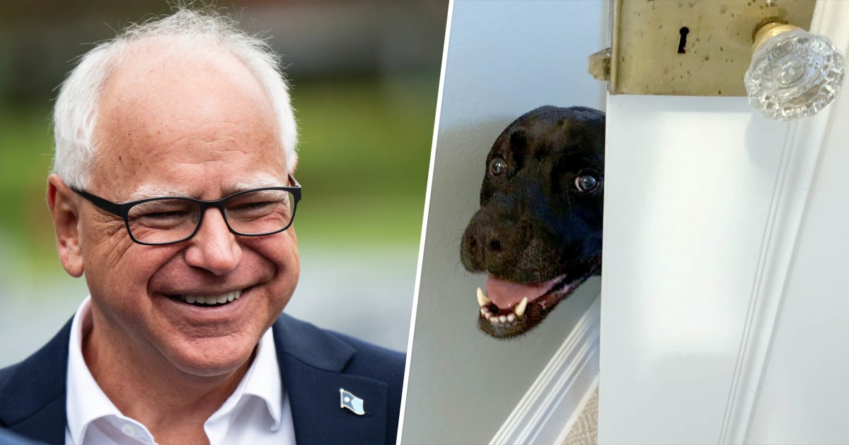 Tim Walz's Dog, Scout, Locked Himself In The Bedroom — His Family ...