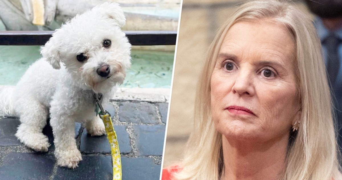 Kerry Kennedy's Dog was Killed the Same Day Her Mom Ethel Kennedy Died