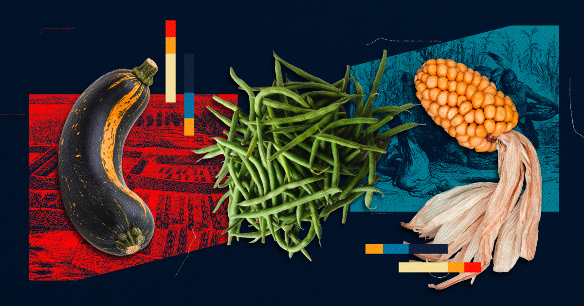 The Three Sisters: How Corn, Beans and Squash Built Indigenous American ...