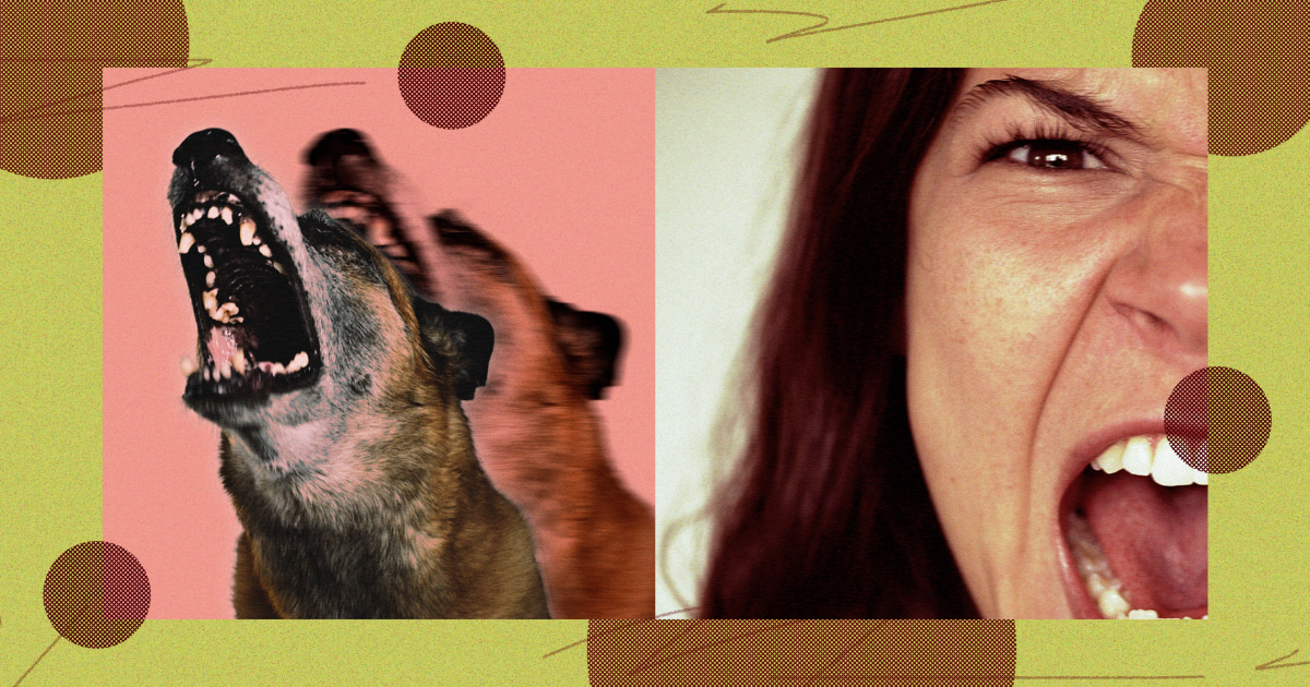 How Rachel Yoder's Book 'Nightbitch' Helped Me As a Mother