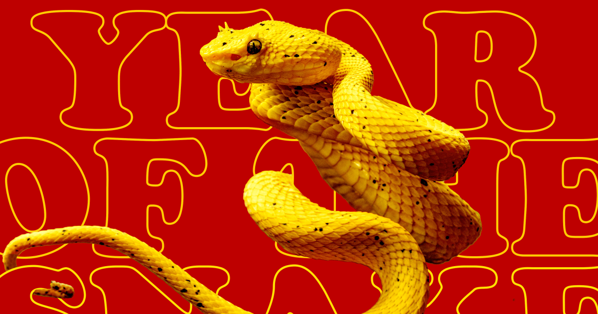 The Year of the Snake Is All About Shedding That Bad Energy