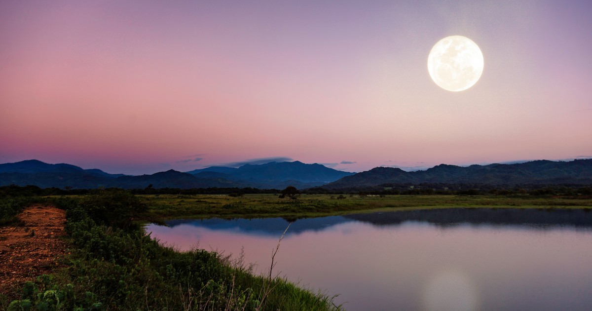 What June's Full Moon in Sagittarius Means For You