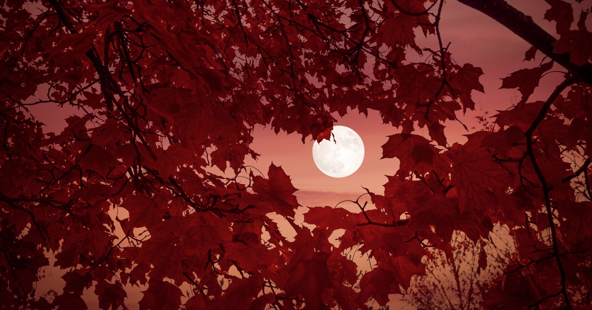 October 2025 Harvest Supermoon: Your Horoscope for the Full Moon